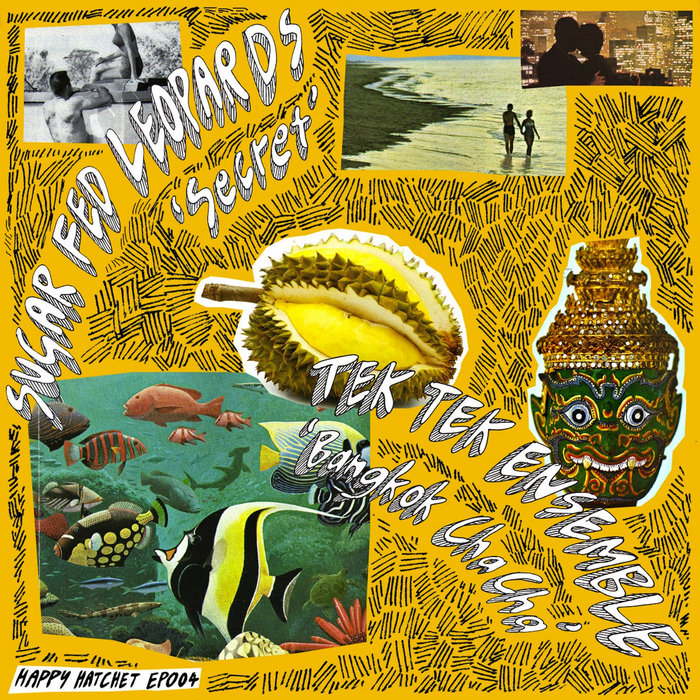 HAPPY HATCHET SPLIT EP004 w/ Richie 1250 & the Brides of Christ / Tek ...