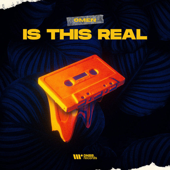 Is This Real | Omen | DNBB Records