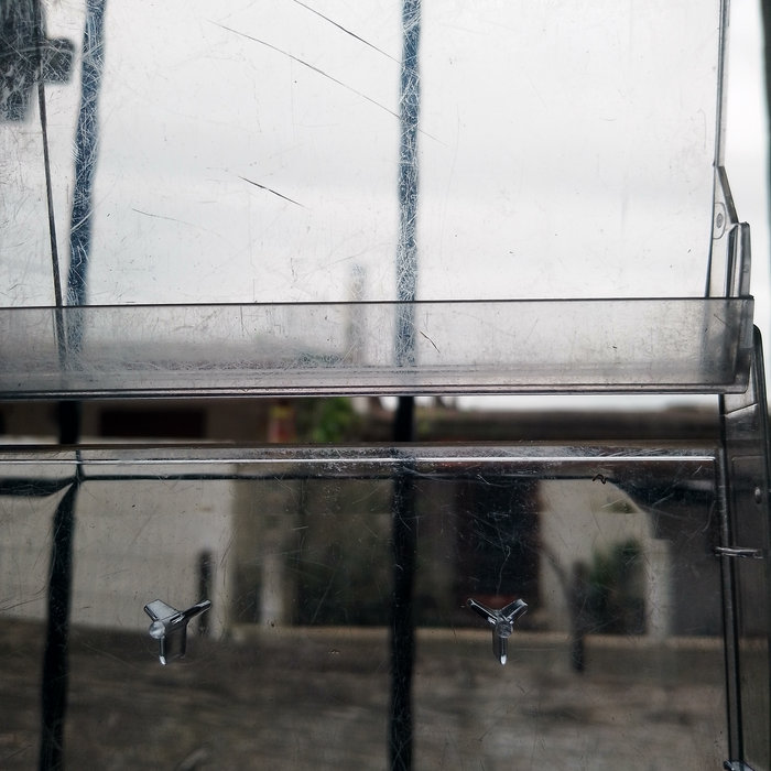 Álbum desconocido | Michel Castillo