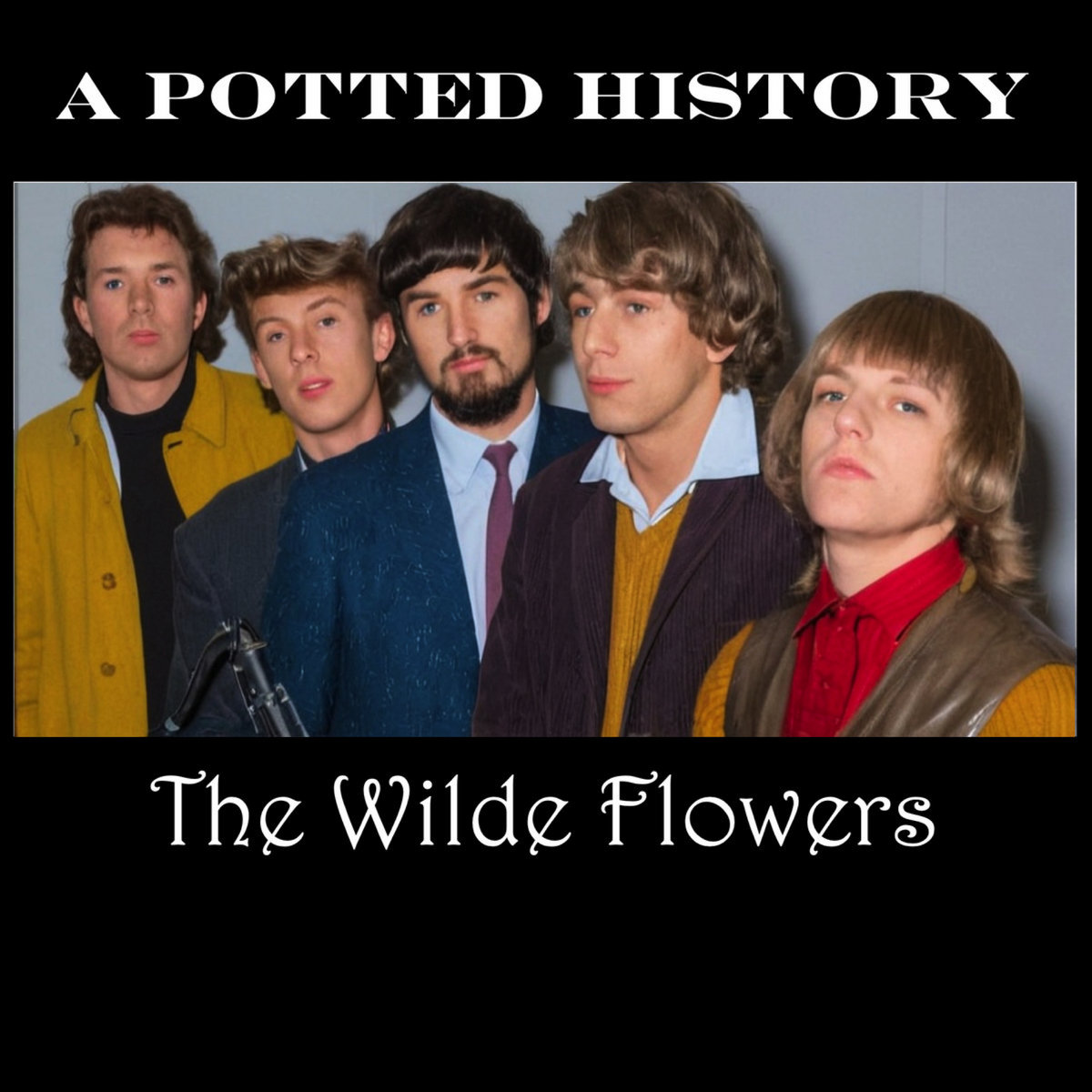A Potted History | The Wilde Flowers | Richard Sinclair