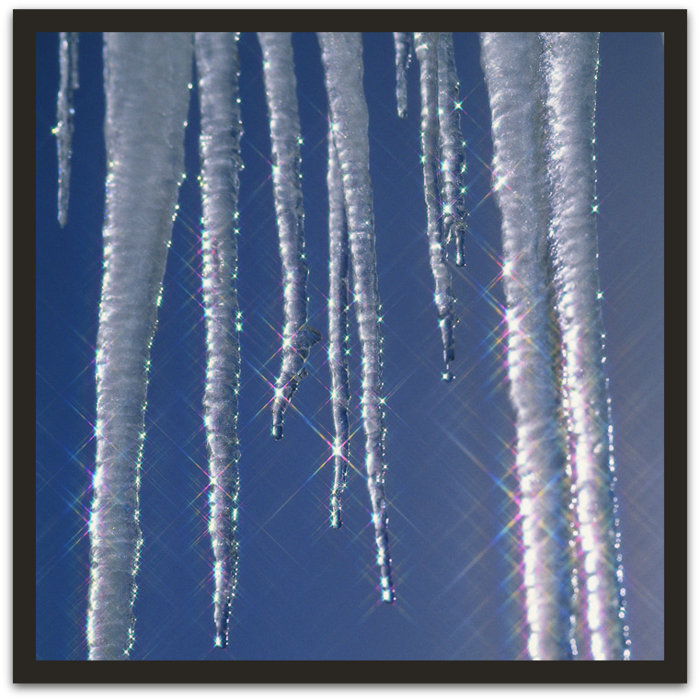 January | Bonnie Hayhurst | The Groovy Garfoose