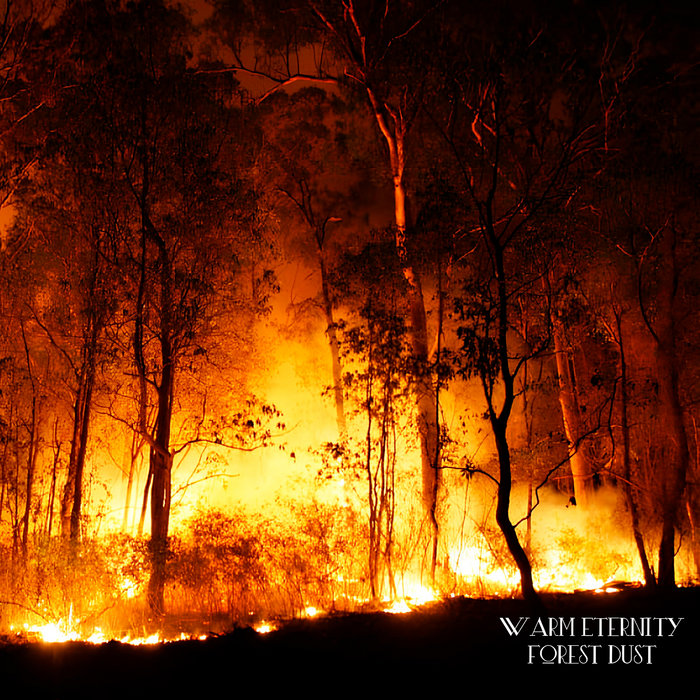Forest Dust | Warm Eternity