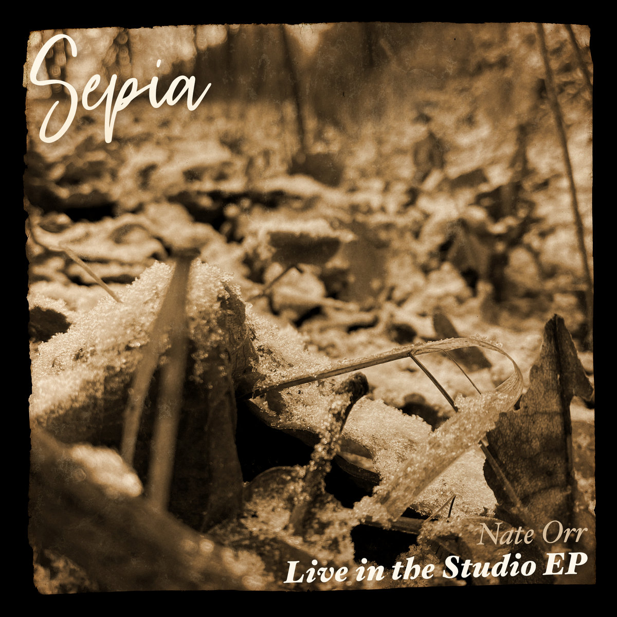 Sepia - Live in the Studio EP | Nate Orr