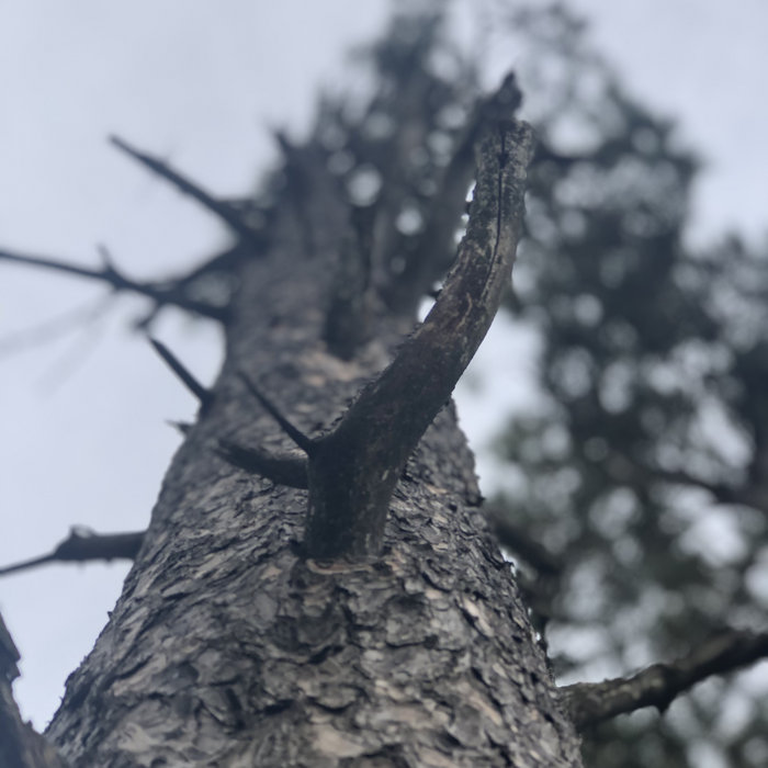 SHELTER VARIANT | AARON ROSS HANSEN | erinome