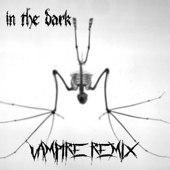 Vampire Remix | In The Dark
