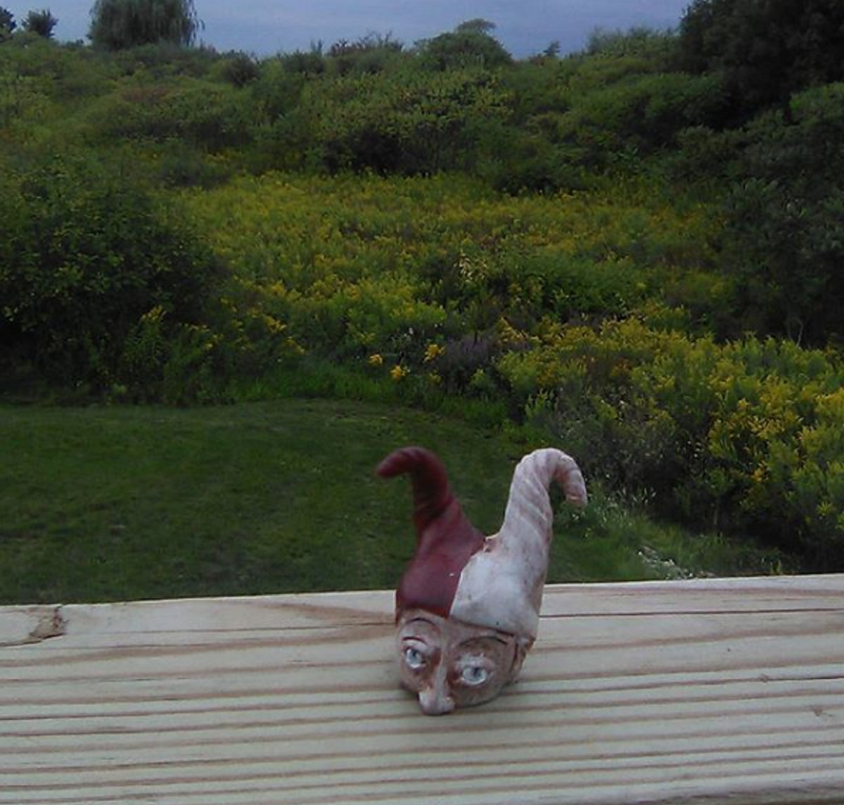 Jesters Privilege | Root Word