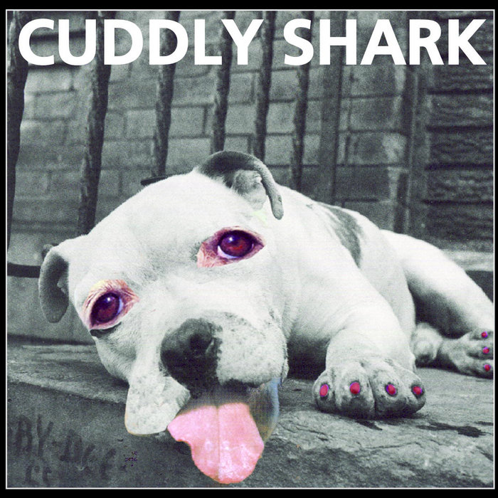 Cuddly Shark | Cuddly Shark