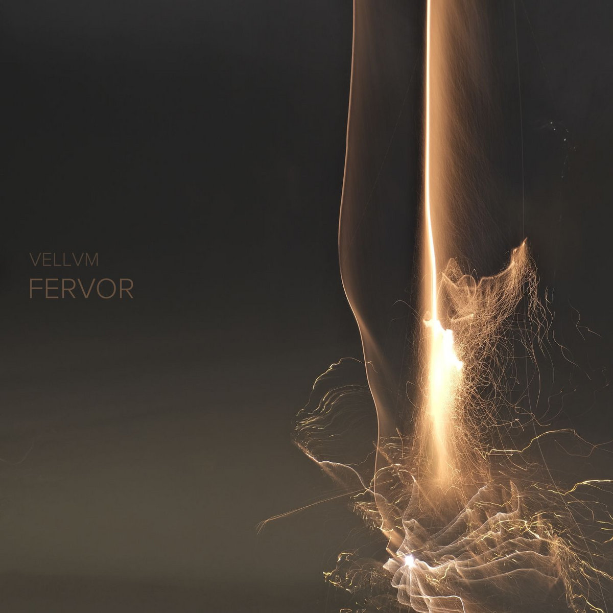 Fervor | VELLVM