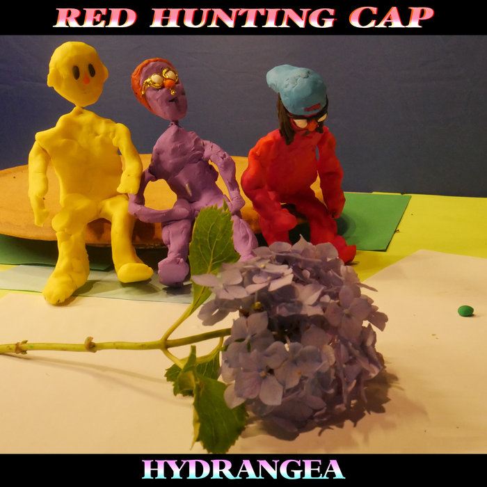 Hydrangea | Red Hunting Cap