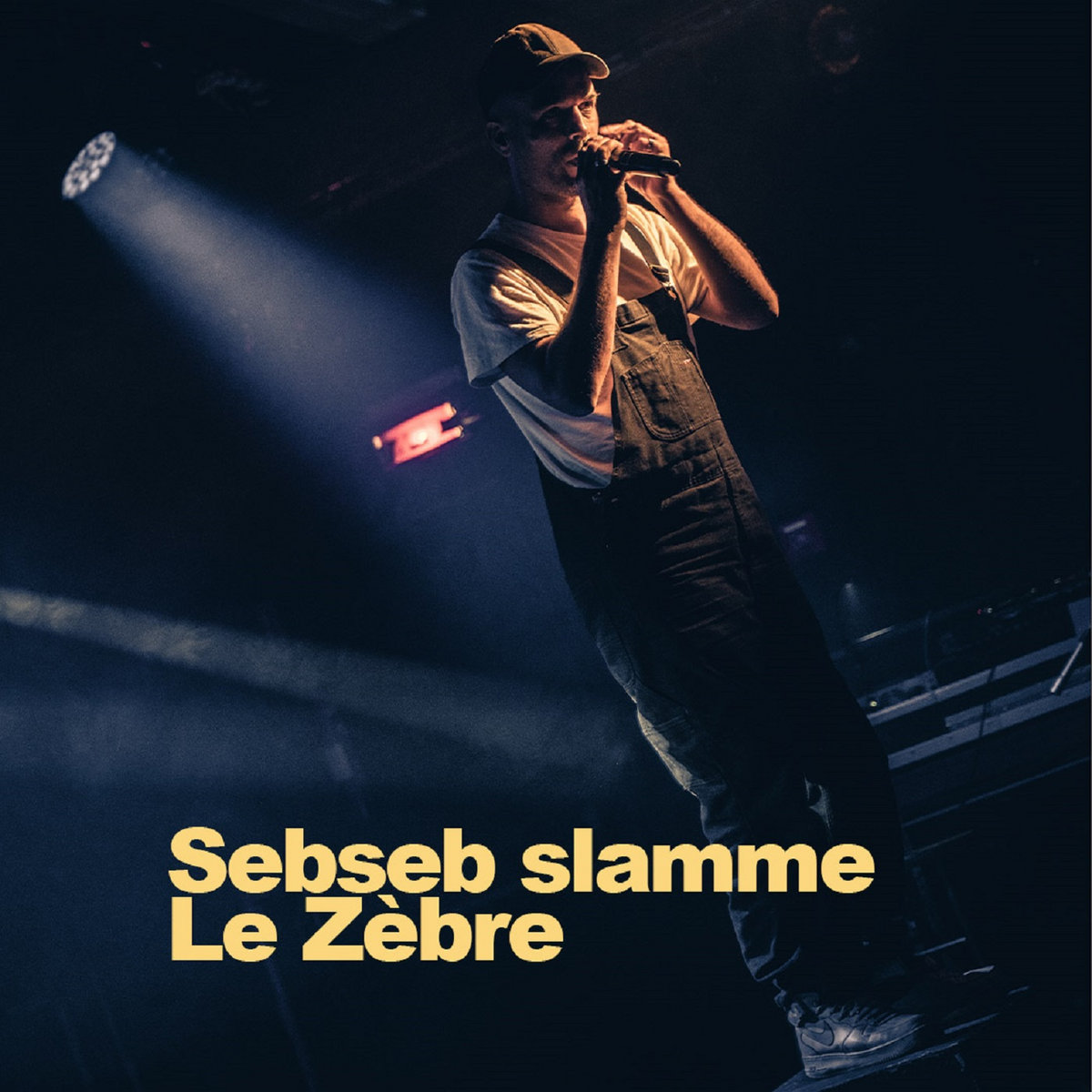Sebseb slamme Le Zèbre S01 | Sebseb | Docteur Sebseb