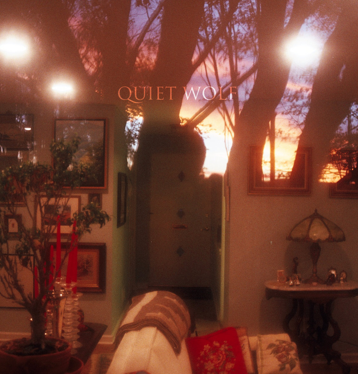 Quiet Wolf | Quiet Wolf