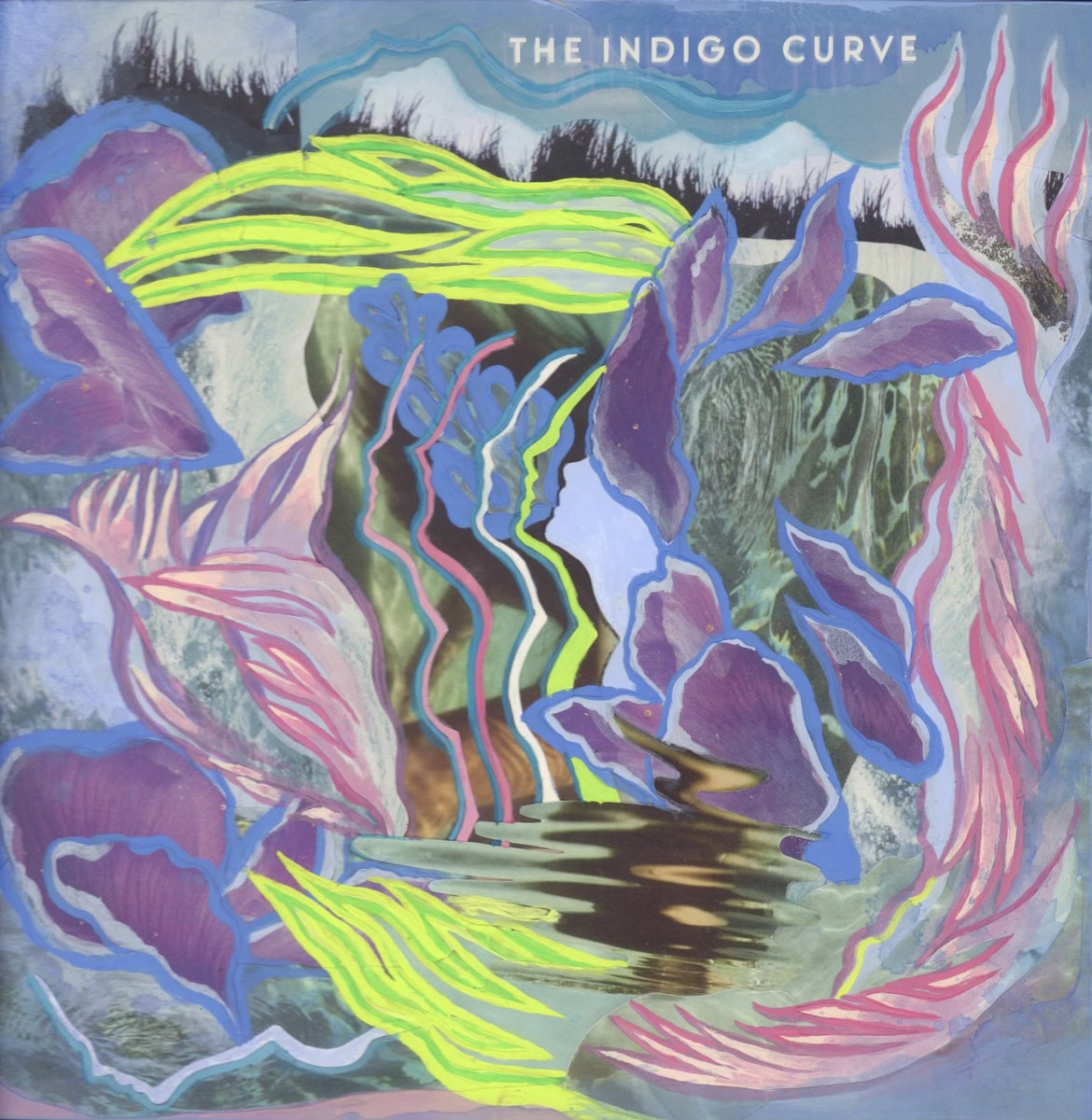 The Indigo Curve | The Indigo Curve