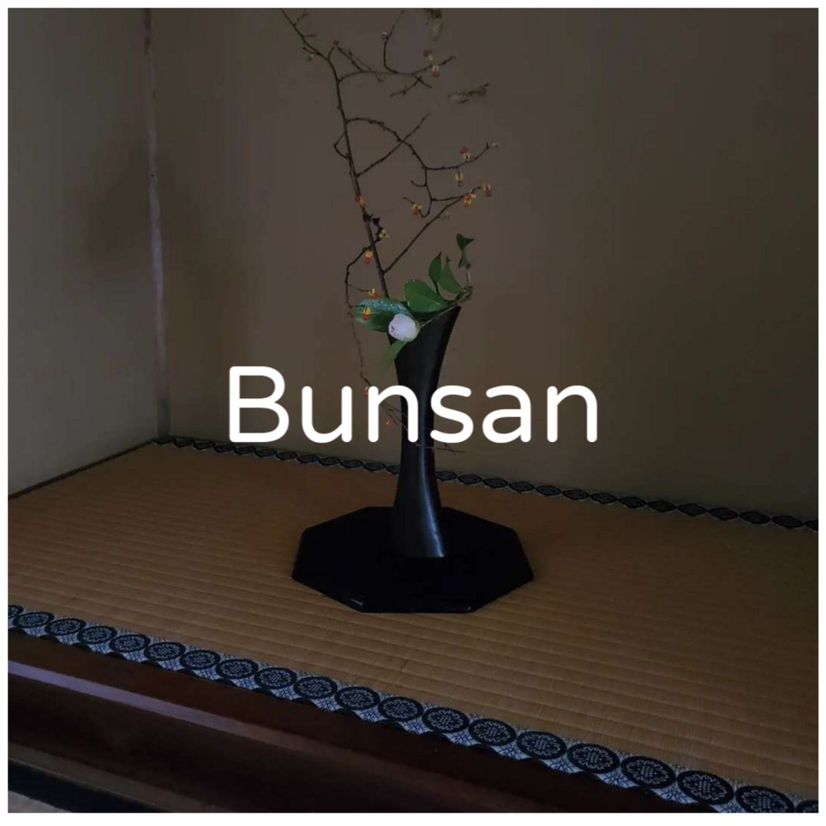 Bunsan | Michiru Aoyama