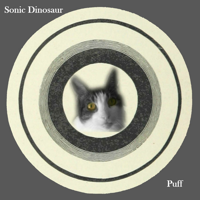 Puff | Sonic Dinosaur
