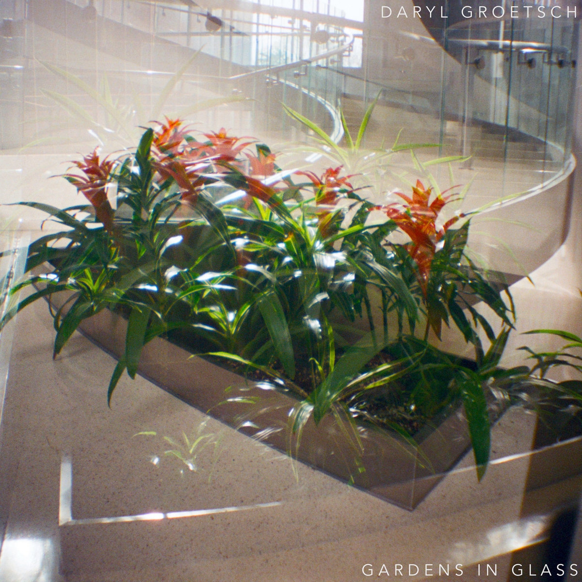 Gardens in Glass | Daryl Groetsch