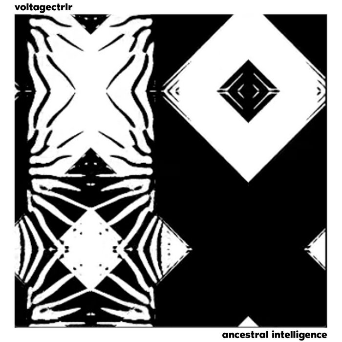 Ancestral Intelligence | VoltageCtrlR
