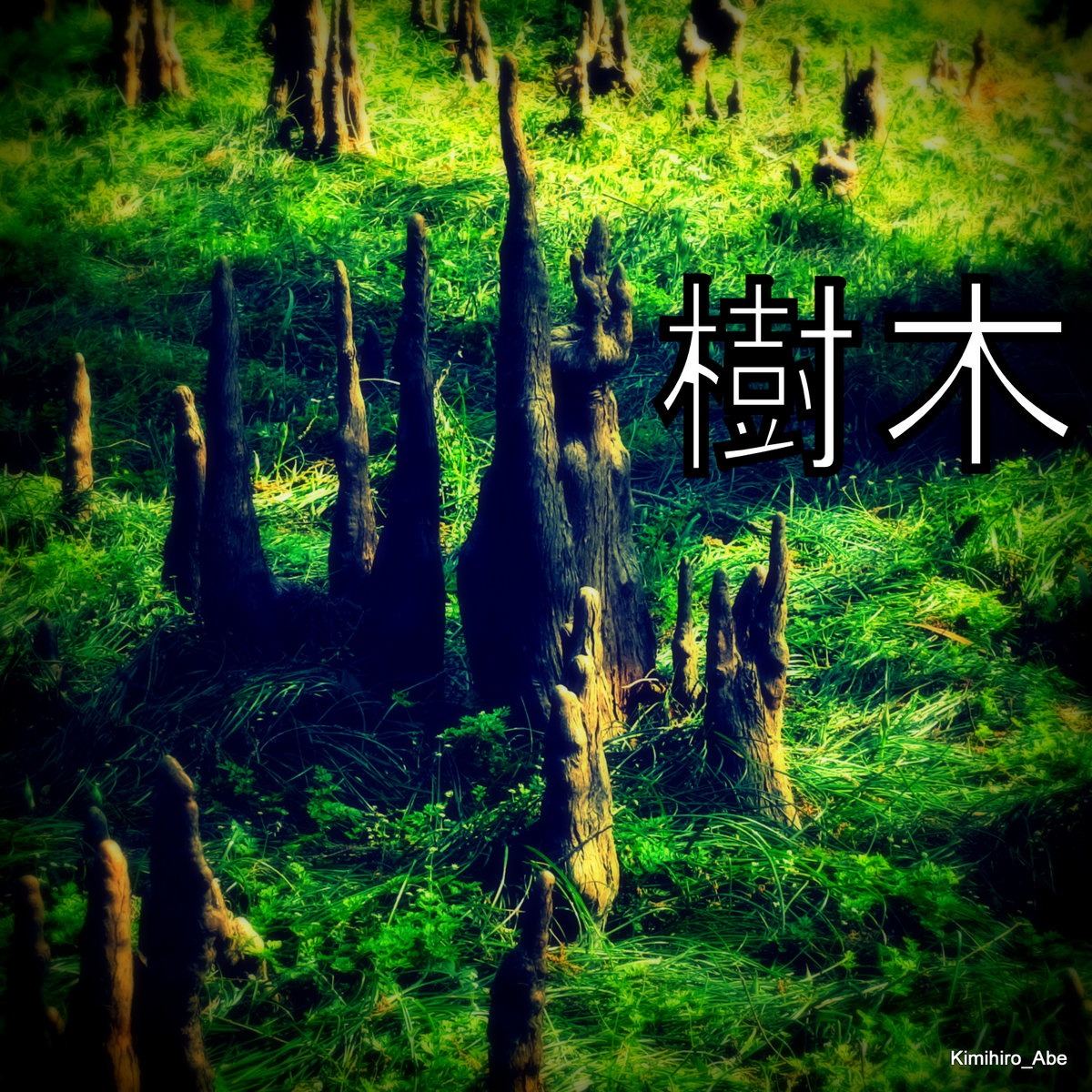 樹木 - Trees and Shrubs | Kimihiro Abe | Kimihiro_Abe(a.k.a. emanon