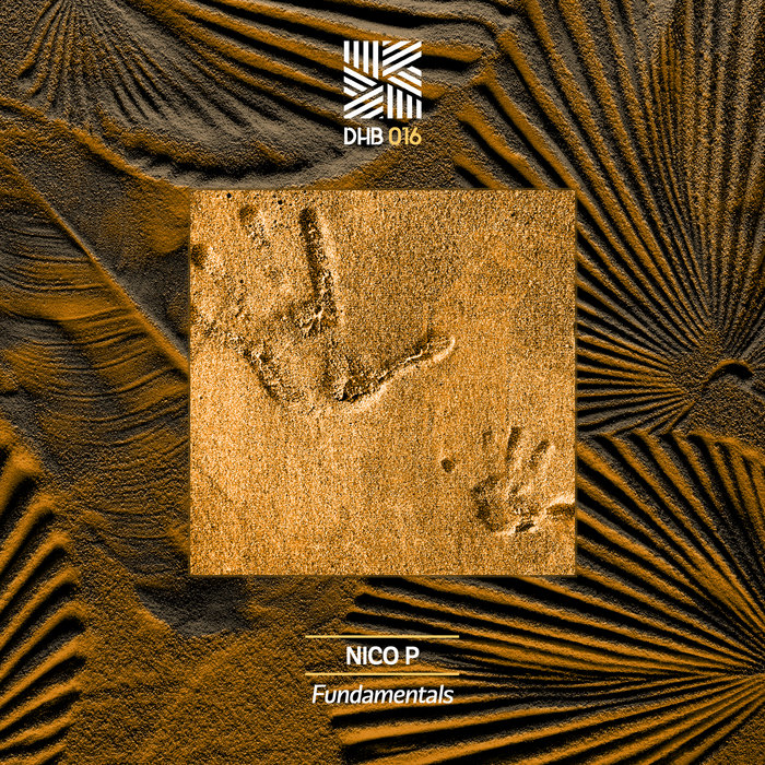 Fundamentals | Nico P