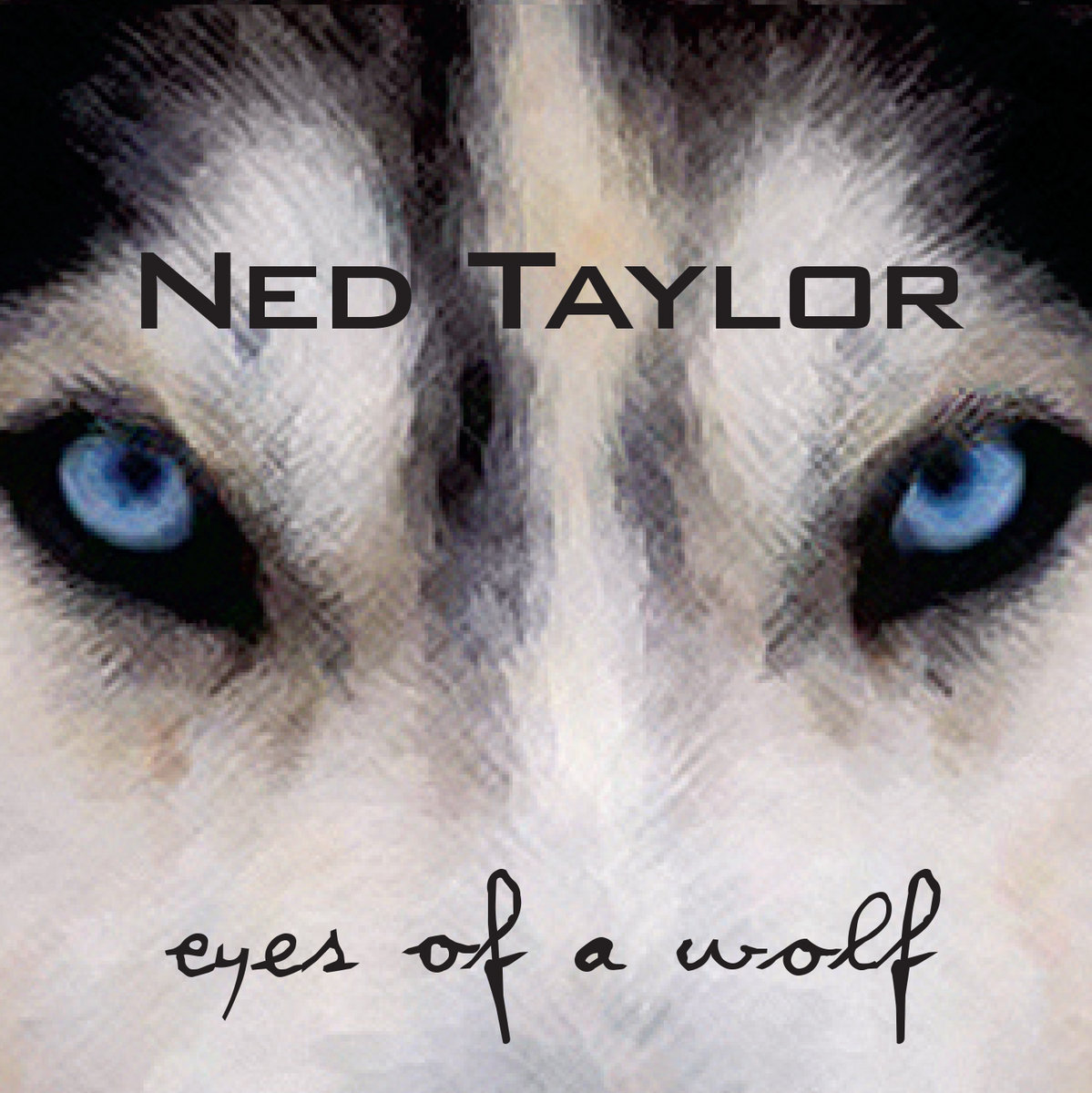 Eyes Of A Wolf | Ned Taylor