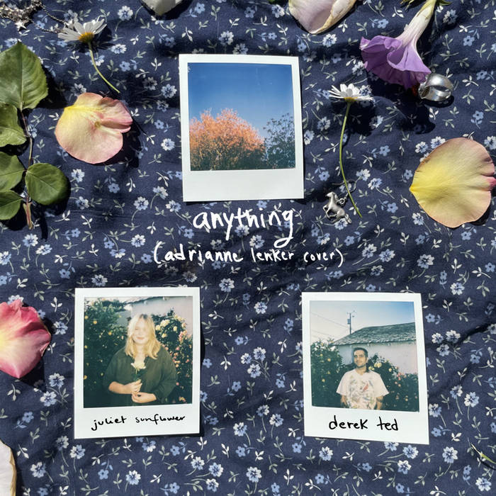 anything (adrianne lenker cover) | derek ted, juliet sunflower | derek ted