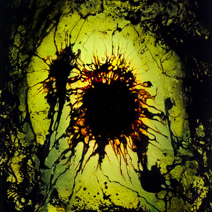 Machine Learning | Doctor Jeep