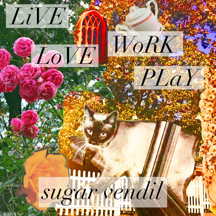 Live Love Work Play | sugar vendil featuring Aakash Mittal | Sugar Vendil