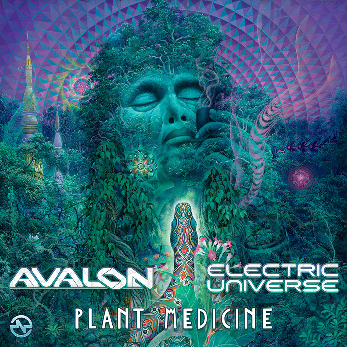 Plant Medicine | Avalon & Electric Universe | Avalon