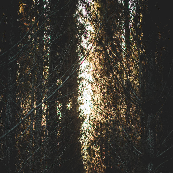 Lost and Found Path | Le Code