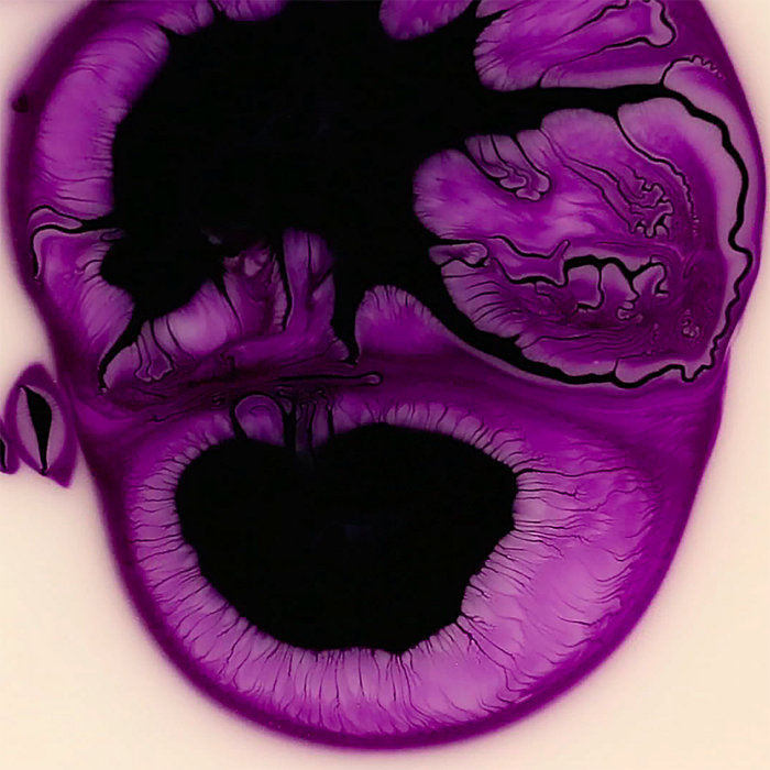 Second Skin | Adam Gottesman + Serena Stucke