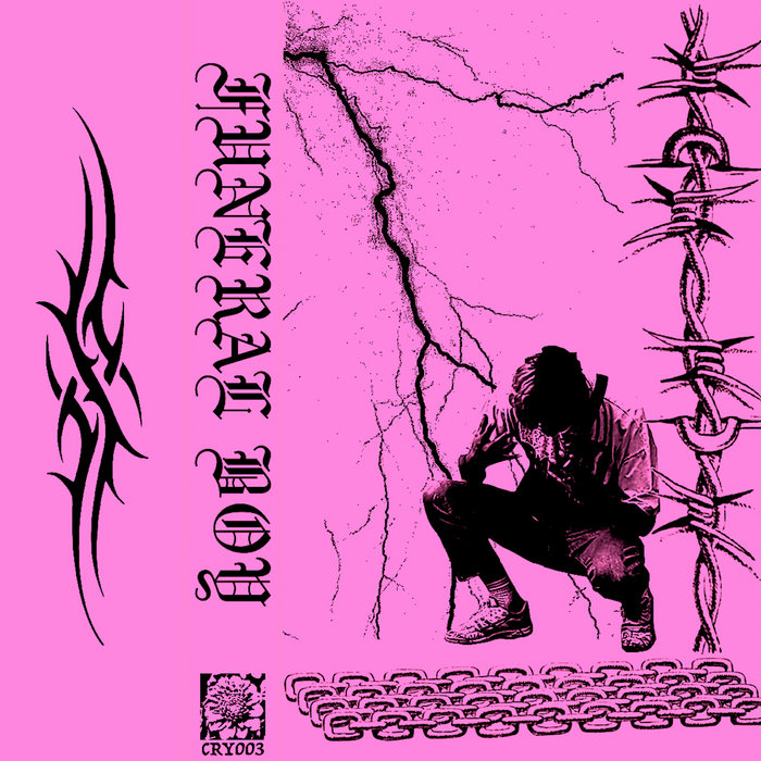 FUNERAL BOY | FUNERAL BOY | CHRYSANTHEM records