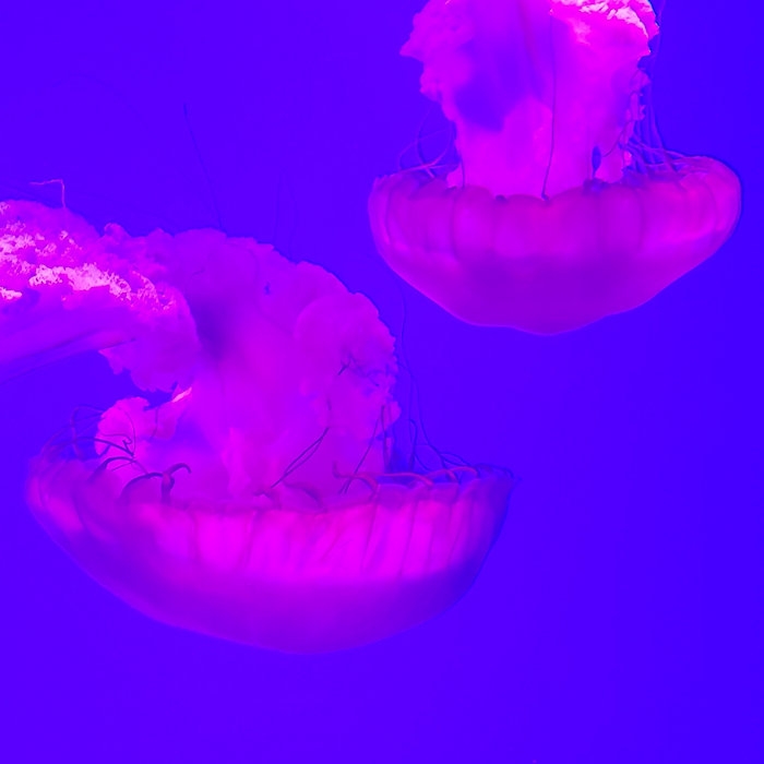 Environments | Ruler of Program