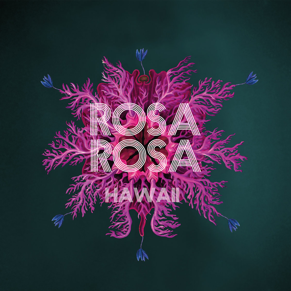 Hawaii | Rosa Rosa