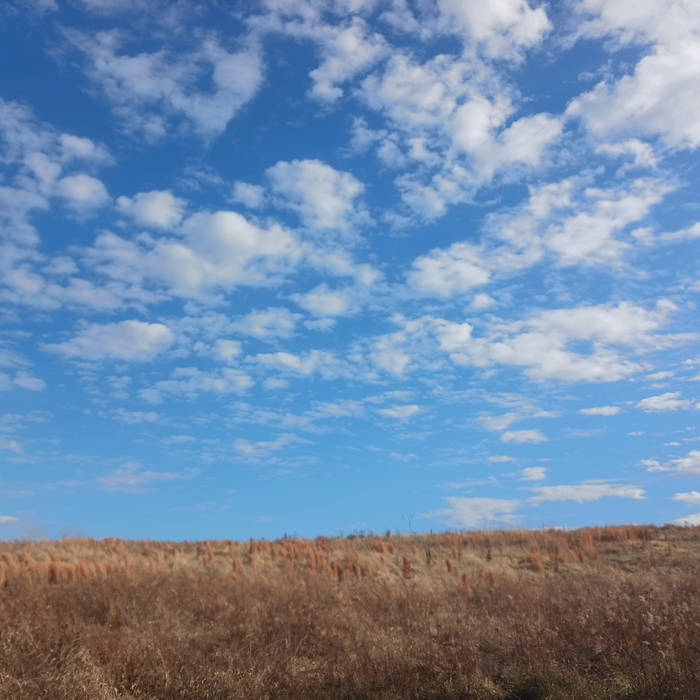 Discography V1 | NICK SANDERSON