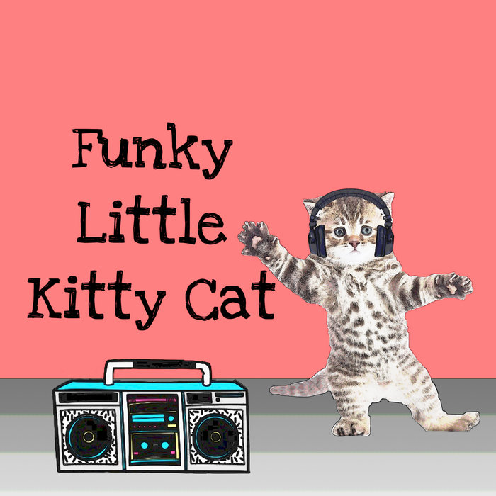 Funky Little Kitty Cat | Matthew Wolf