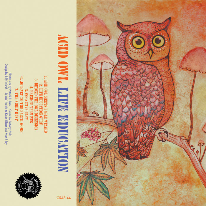 Life Education - Acid Owl | Grabbing Clouds Records and Tapes