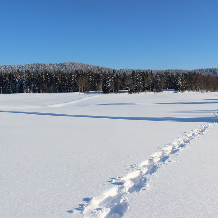 Footsteps | Deagle.Sam