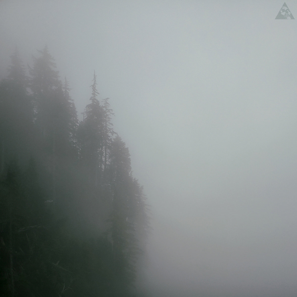 Phantasmal | Static Skull