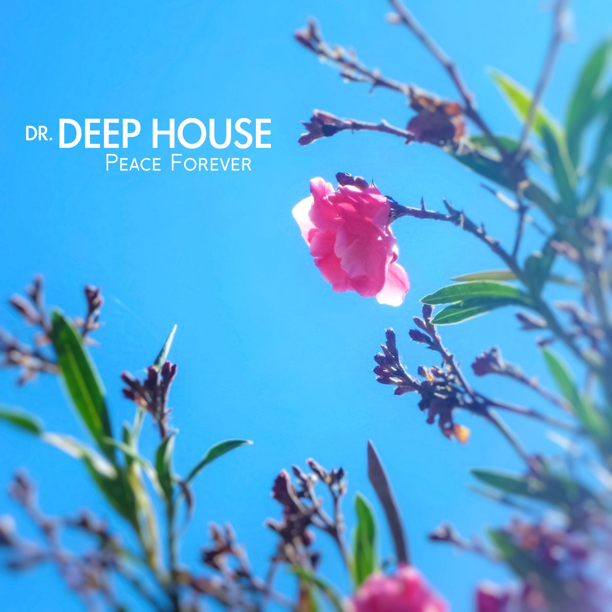 Peace Forever (Bonus Track Edition) | Dr. Deep House | sinemusic