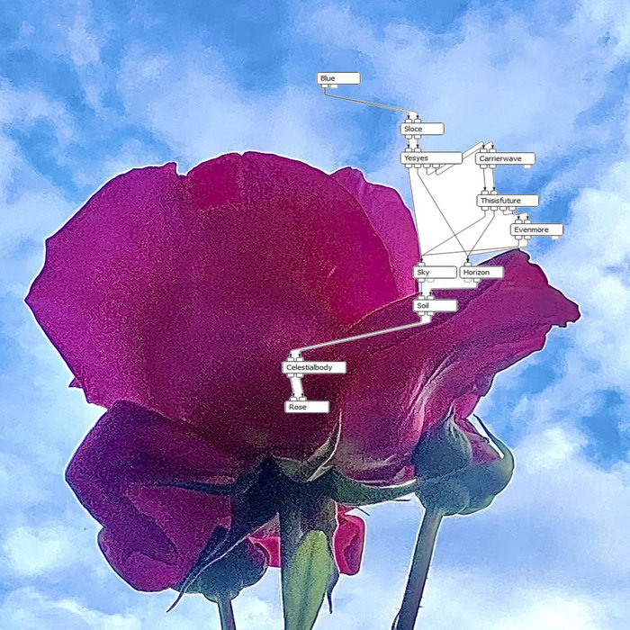Rose in Dub | bient