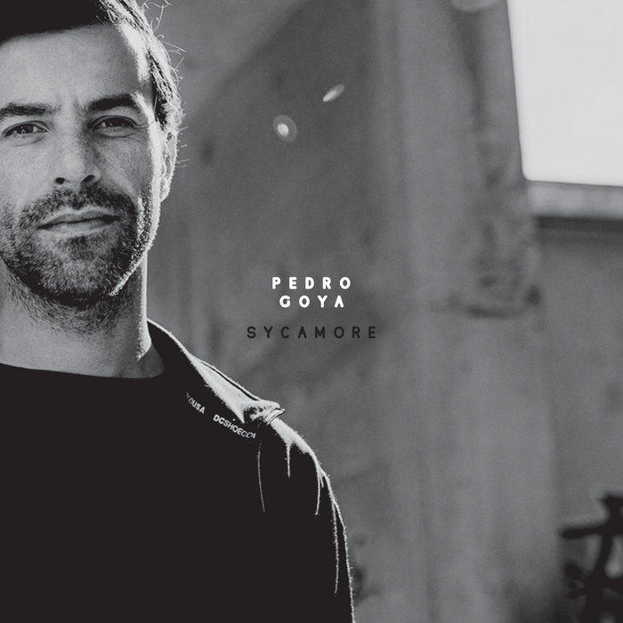 Sycamore - Album | Pedro Goya