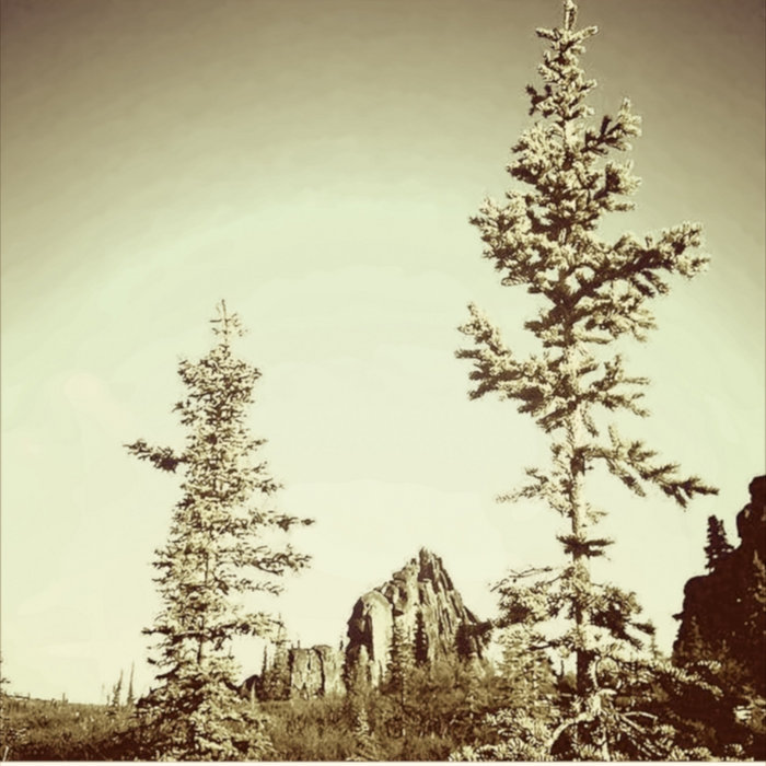 Ritual | Ghost Trees