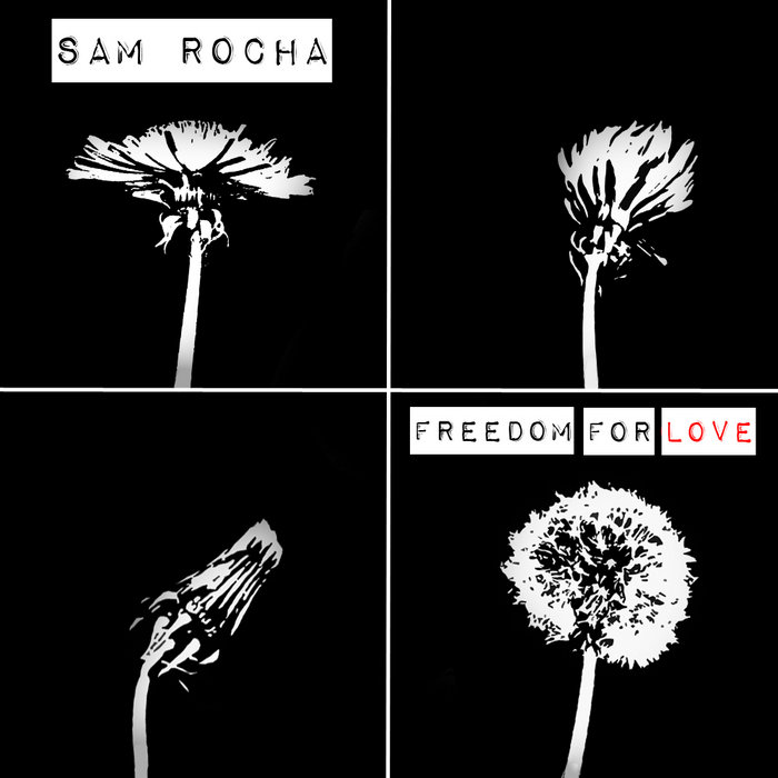 Freedom for Love | Sam Rocha