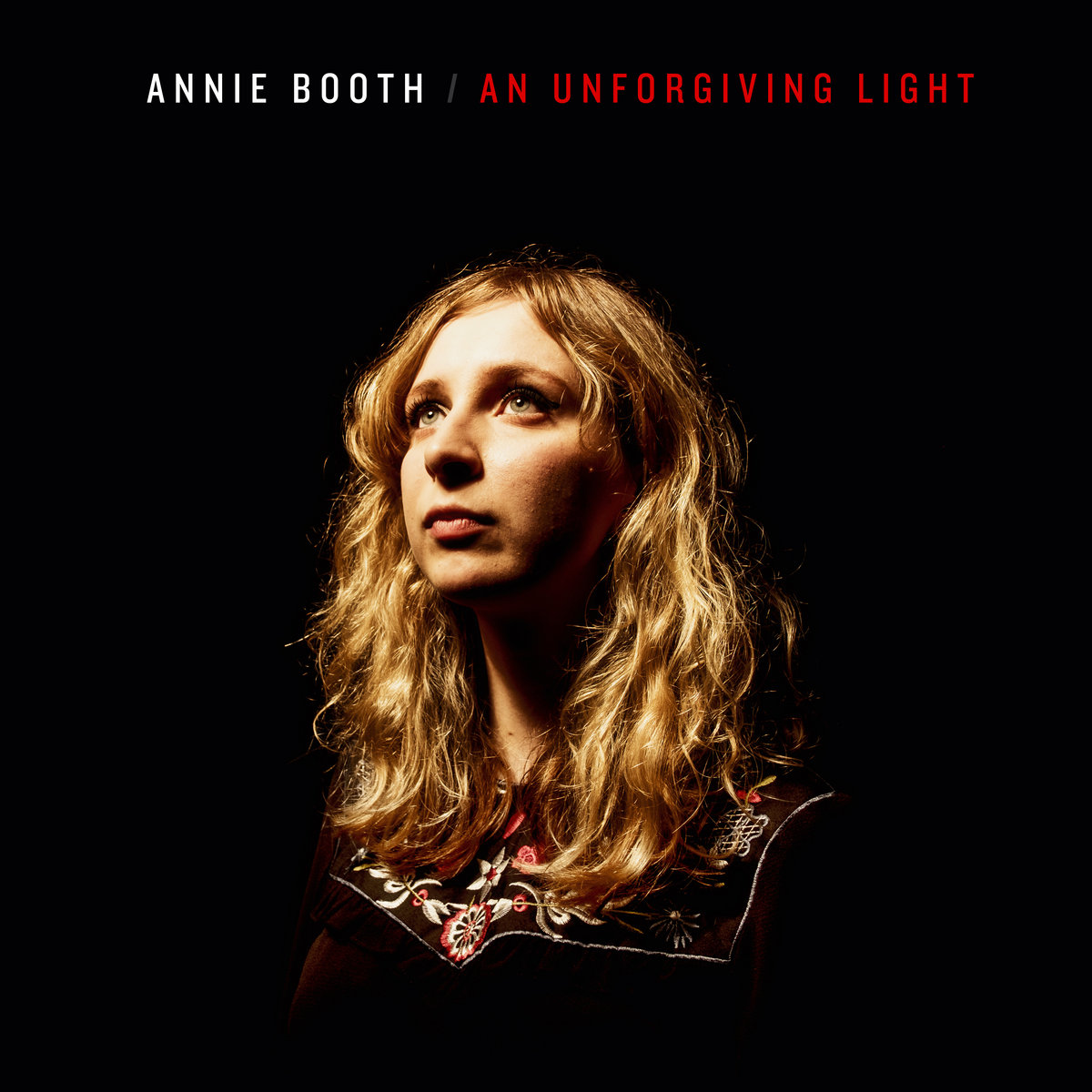 An Unforgiving Light | Annie Booth