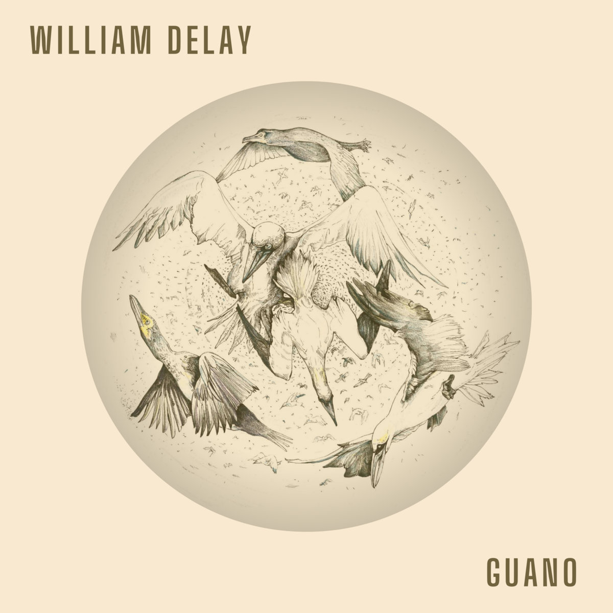 GUANO | William Delay