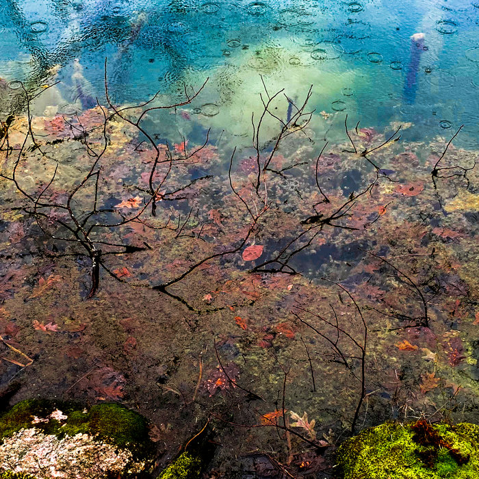 negative hallucination - ep | Uncle Wizard