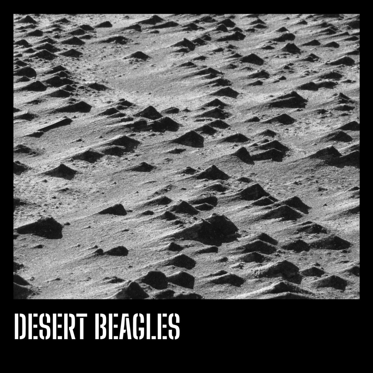 Desert Beagles | Desert Beagles