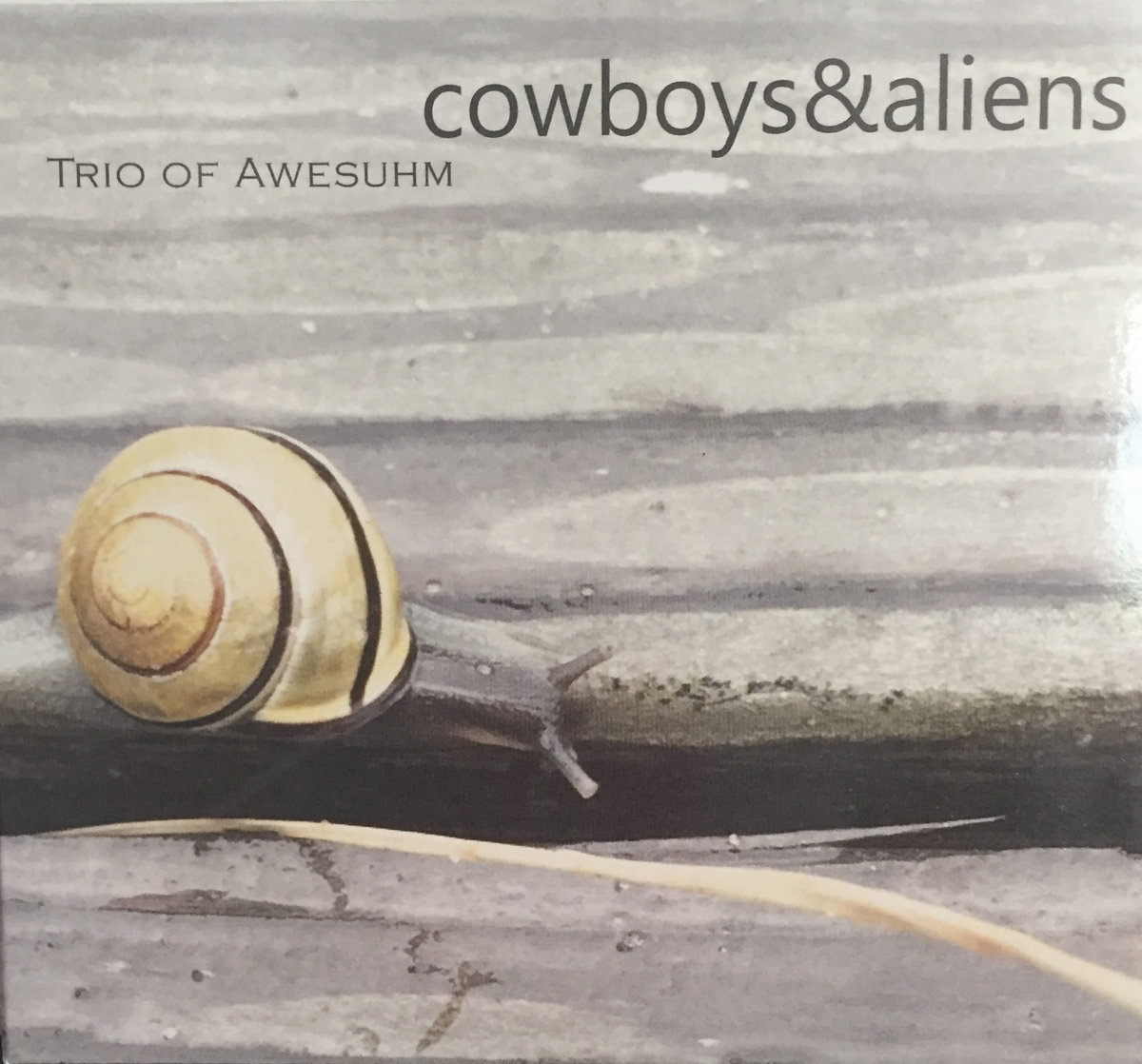 Cowboys&Aliens (EP Selections) | Monica Uhm | Trio Of Awesuhm