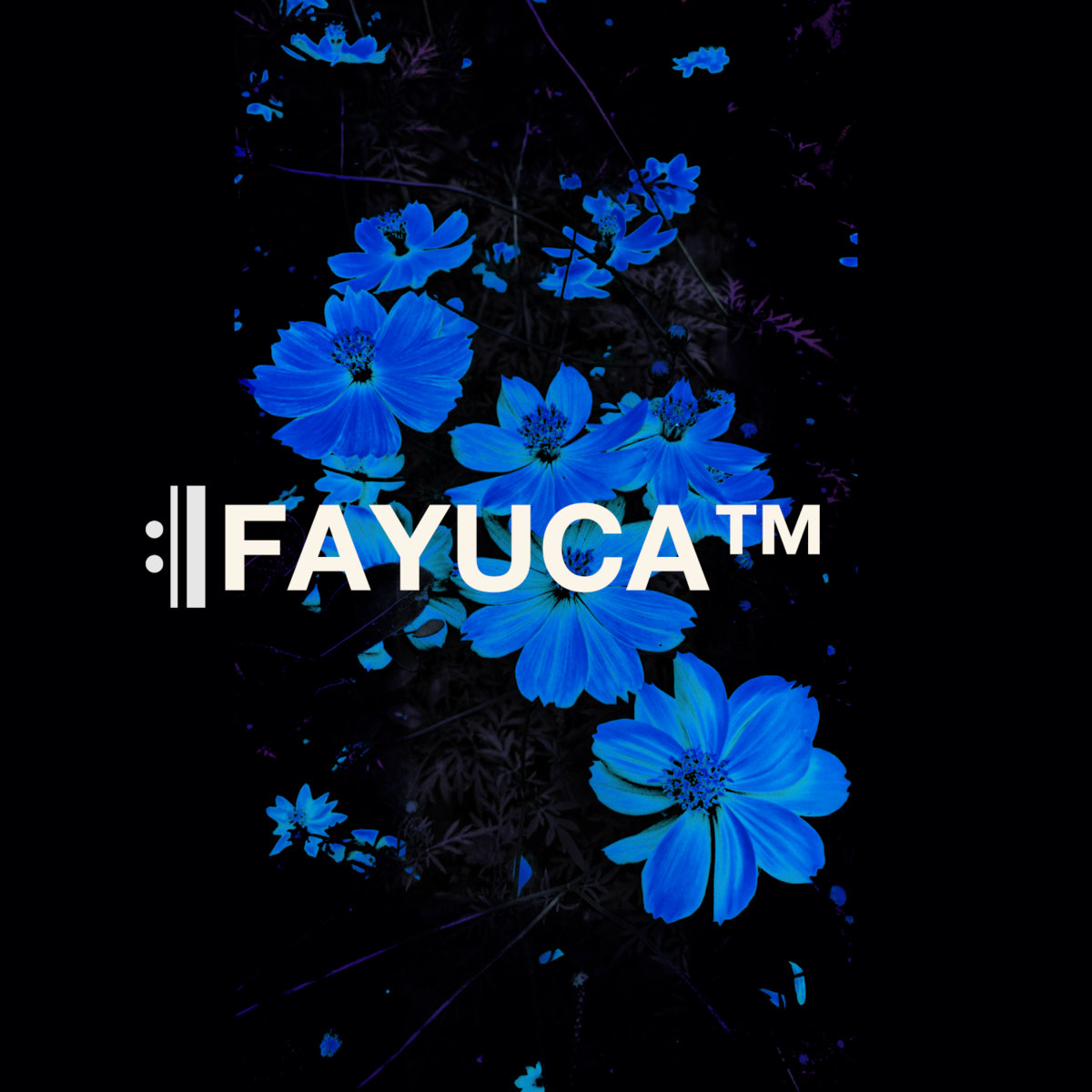 FAYUCA 4 | dj GDP | hazzmattes