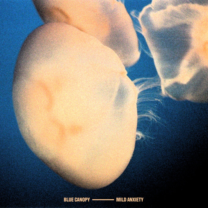 Mild Anxiety | Blue Canopy