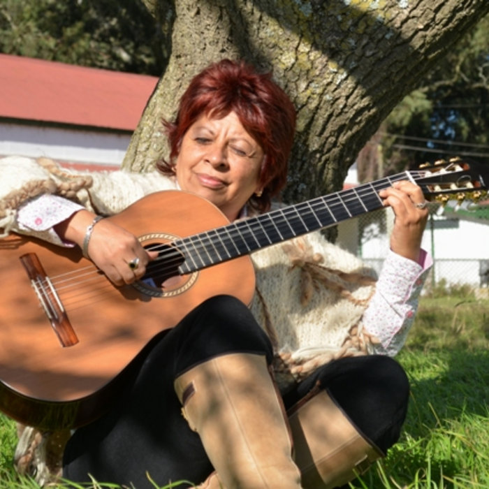 Interpretando a Abel Fleury | Silvia Castro